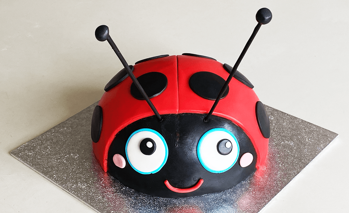 Gaston the Ladybird 3D Cake - MuchMunchies